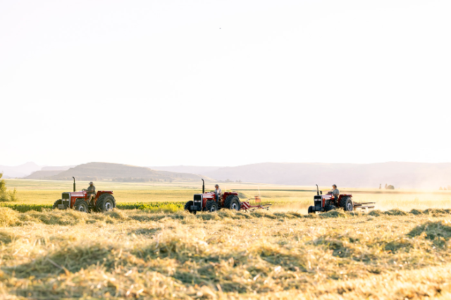 Unleashing Power and Versatility: The Massey Ferguson MF 200 Xtra ...