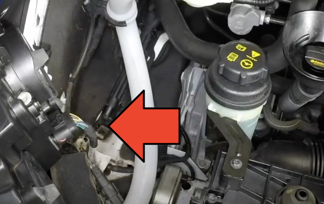 How to replace a lightbulb on a Ford Transit Custom - Car Ownership ...